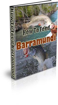 How To Raise Barramundi | Raising Barramundi At Home | How To Start ...